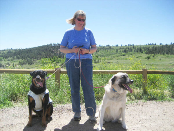 Leadership Skills for Dog Owners | BlackPaw Dog Training