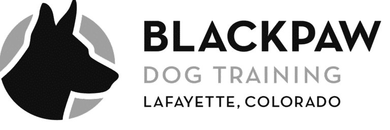 Dog Board & Train | Denver + Boulder